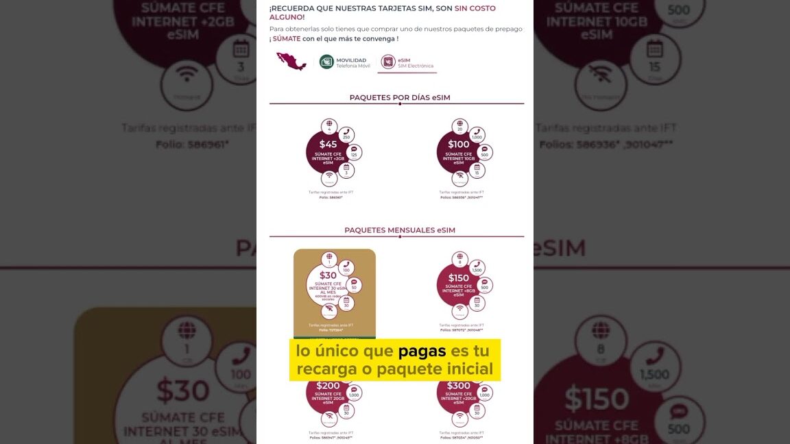 Ventajas y desventajas del chip CFE: descubre si vale la pena usarlo