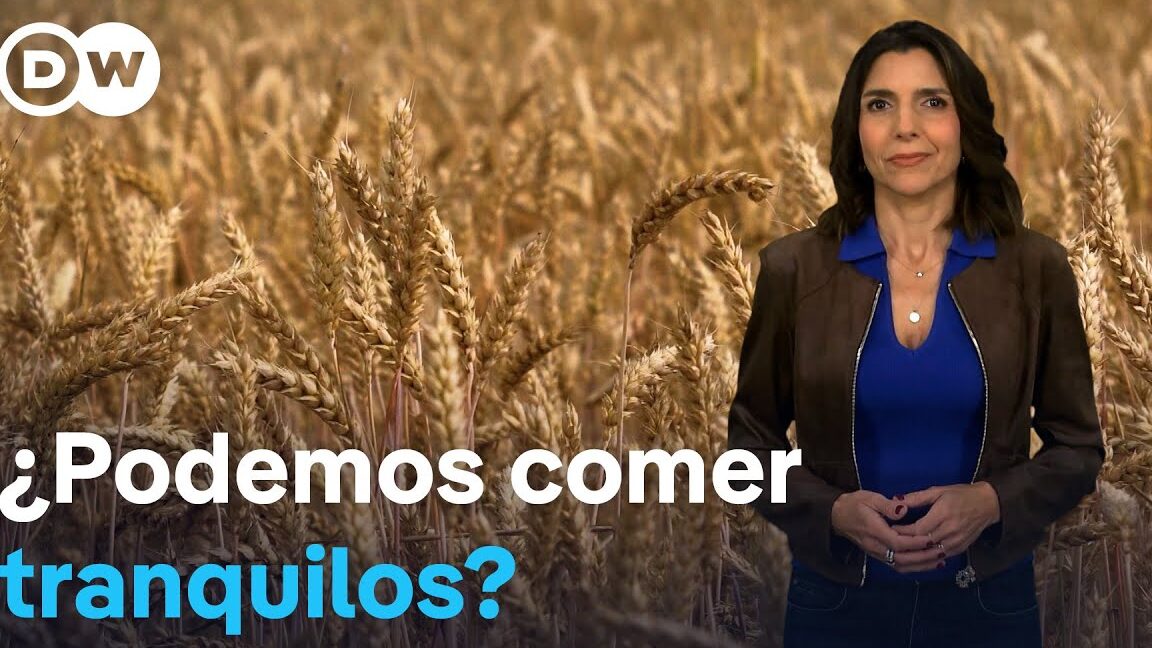 Ventajas y desventajas en el uso de los OGM: descubre su impacto real